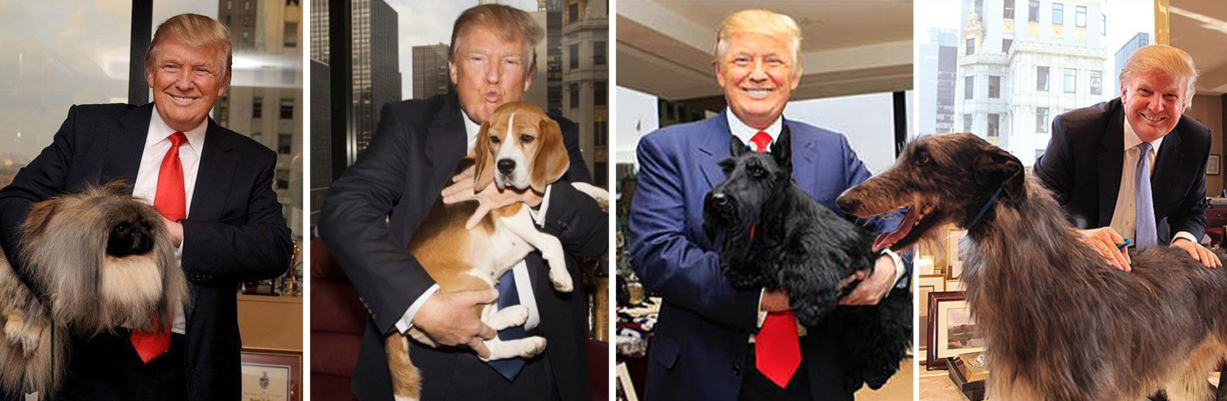 24zampe | Trump: “Non ho tempo per un cane”. E dopo 120 anni manca un ...