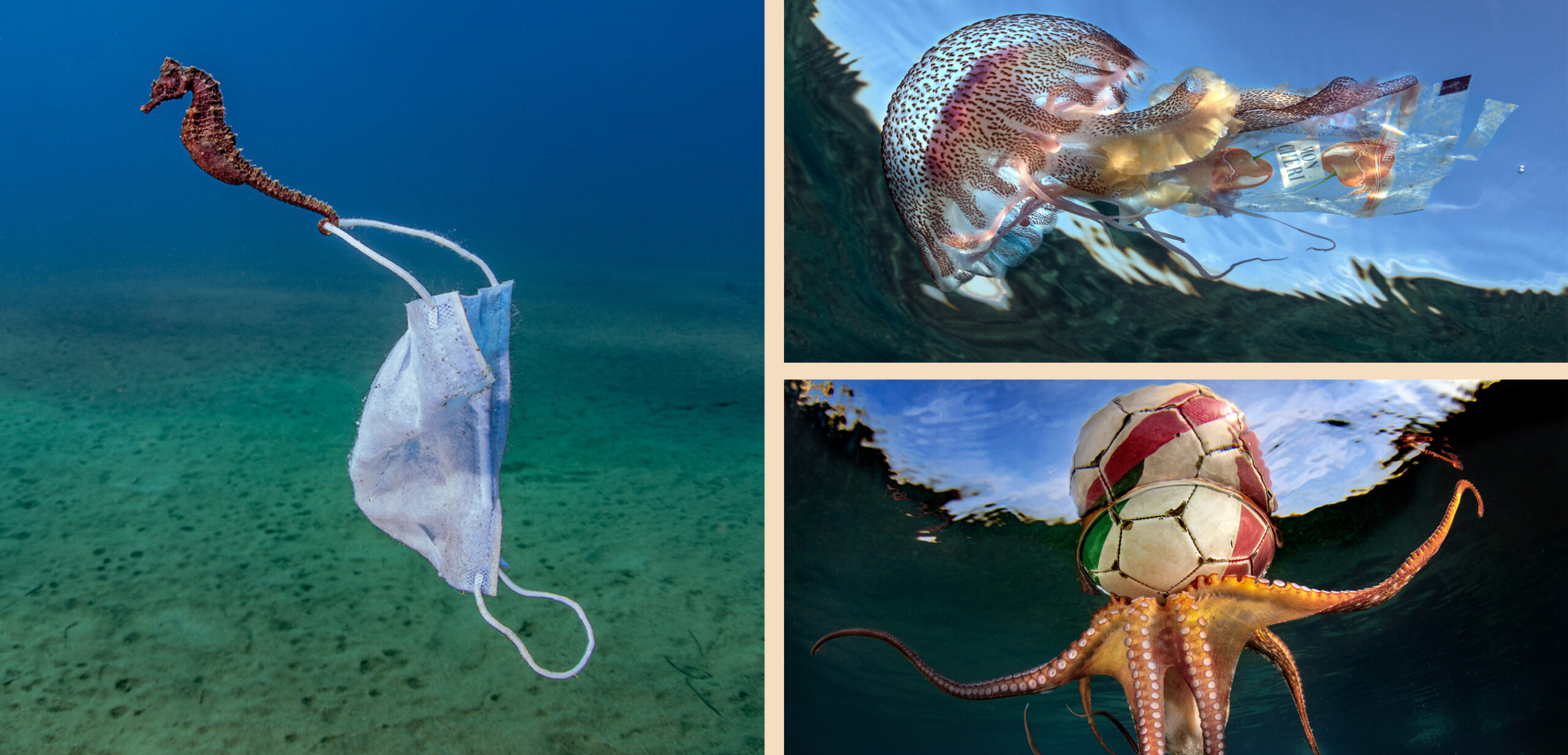 24zampe | Procida 2022, l’inquinamento marino negli scatti di tre fotografi