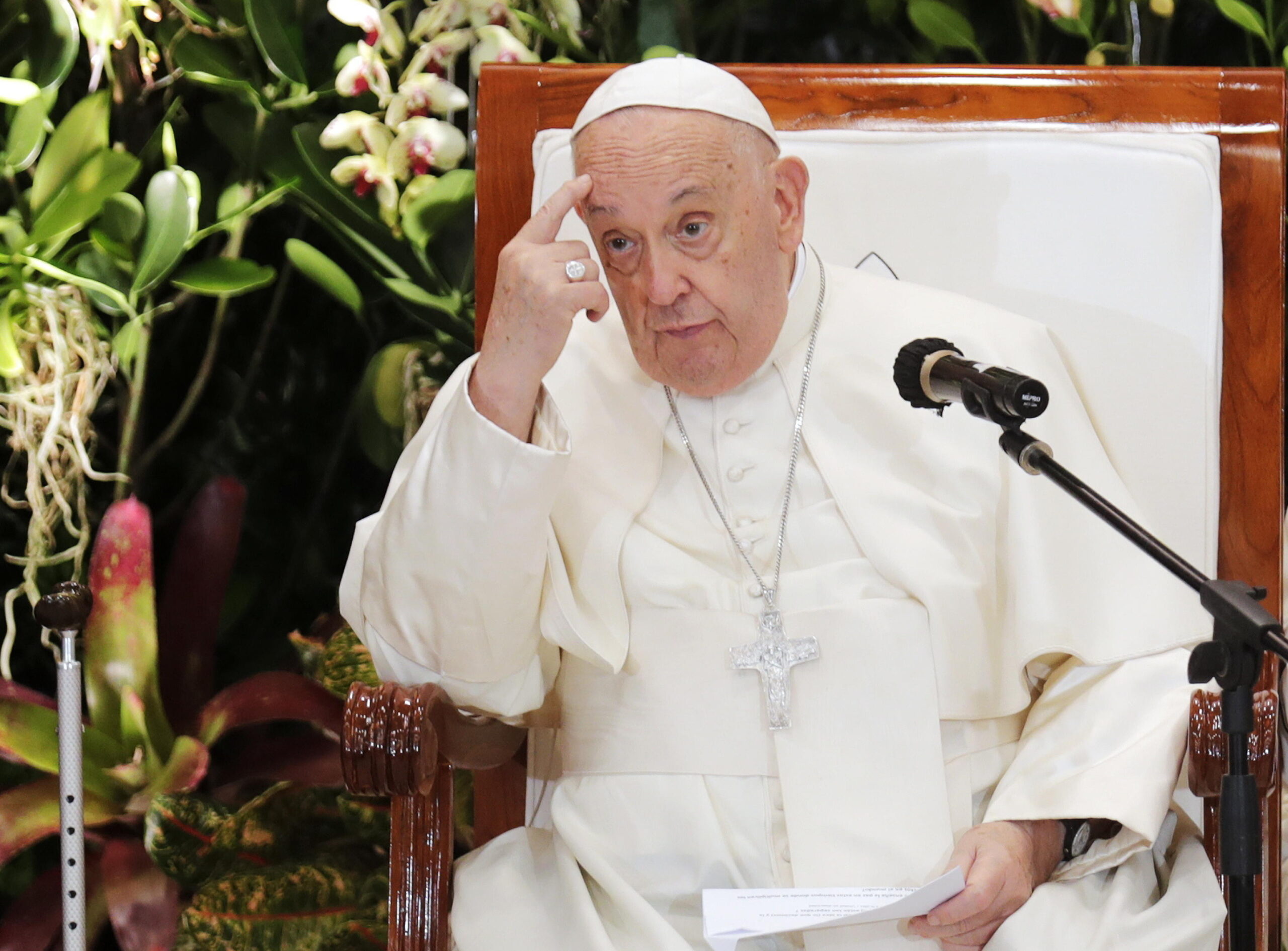 24zampe | Il Papa in Indonesia: famiglie che preferiscono cani e gatti ...